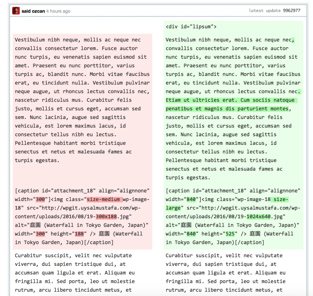 Github gibi WordPress – WordPress Notları